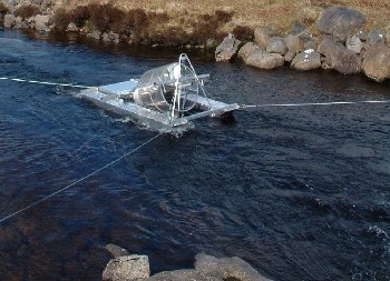 Wester Ross Fisheries Trust :: Salmon and sea trout smolts head for the sea